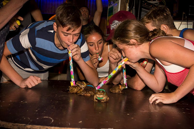 10 School Holiday Activities in Port Douglas - Wildlife Habitat